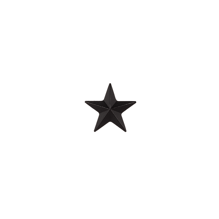 BGEN Rank Insignia – Metal (Field) – The Marine Shop