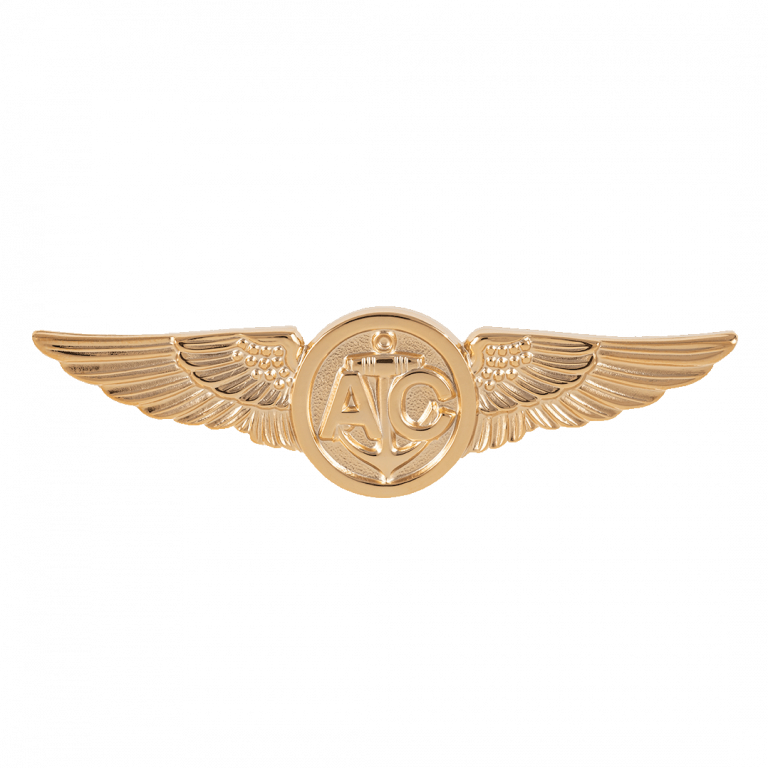 Aircrewman Wings - Anodized Miniature - The Marine Shop